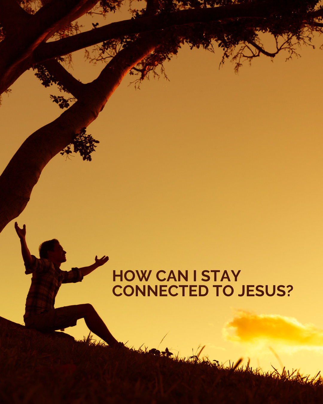 The Vine and the Branches: How to Stay Connected to Christ – Living Words
