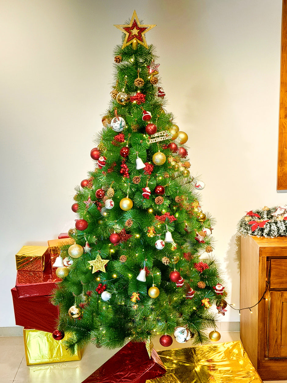 Buy High-Quality Christmas Trees in India | Living Words